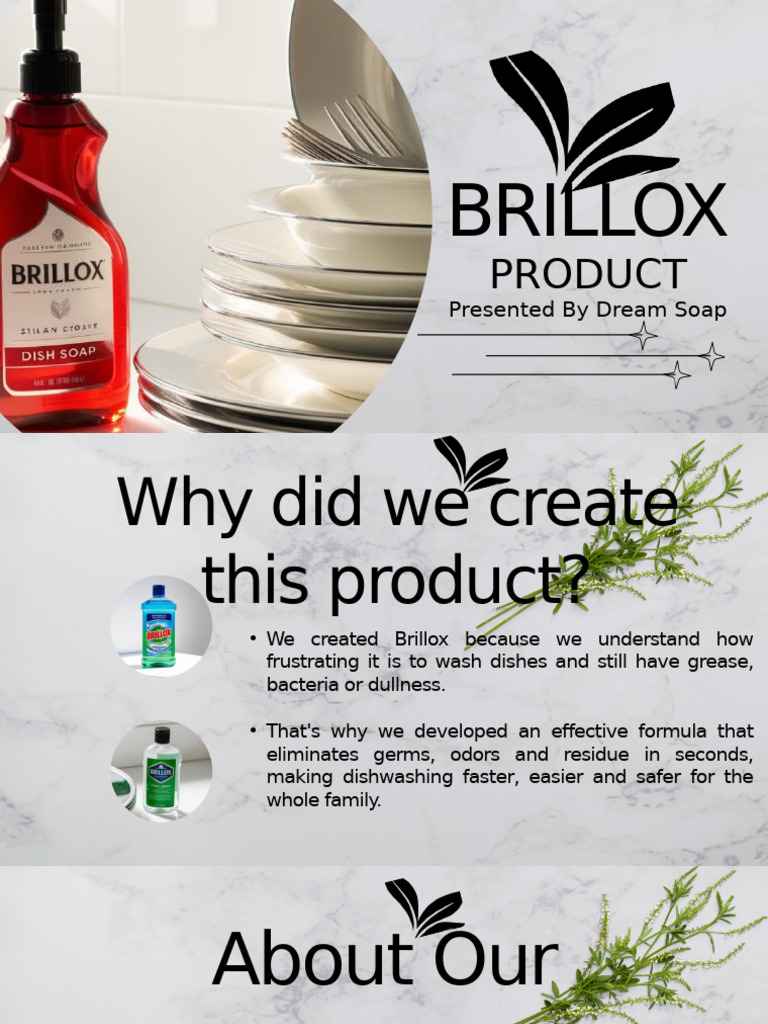 Brillo X | PDF