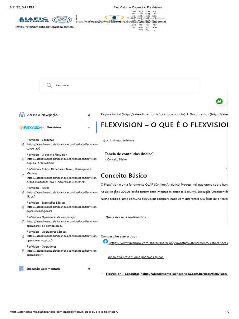 Wiki FlexVision - O Que É o FlexVision | PDF | Hipertexto | Rede mundial de computadores
