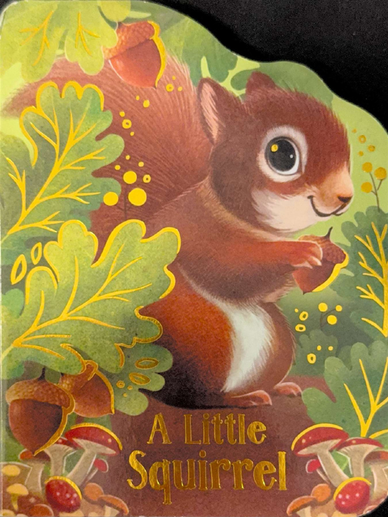 A Little Squirrel | PDF