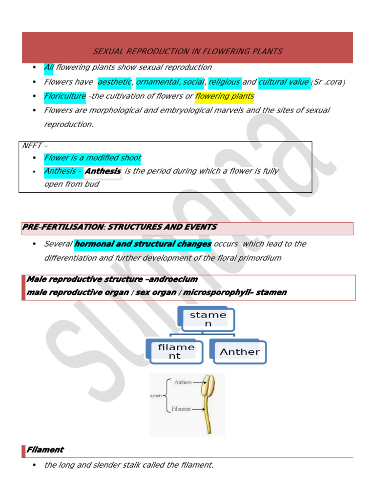 SEXUAL REPRODUCTION IN FLOWERING PLANTS | PDF | Flowers | Seed