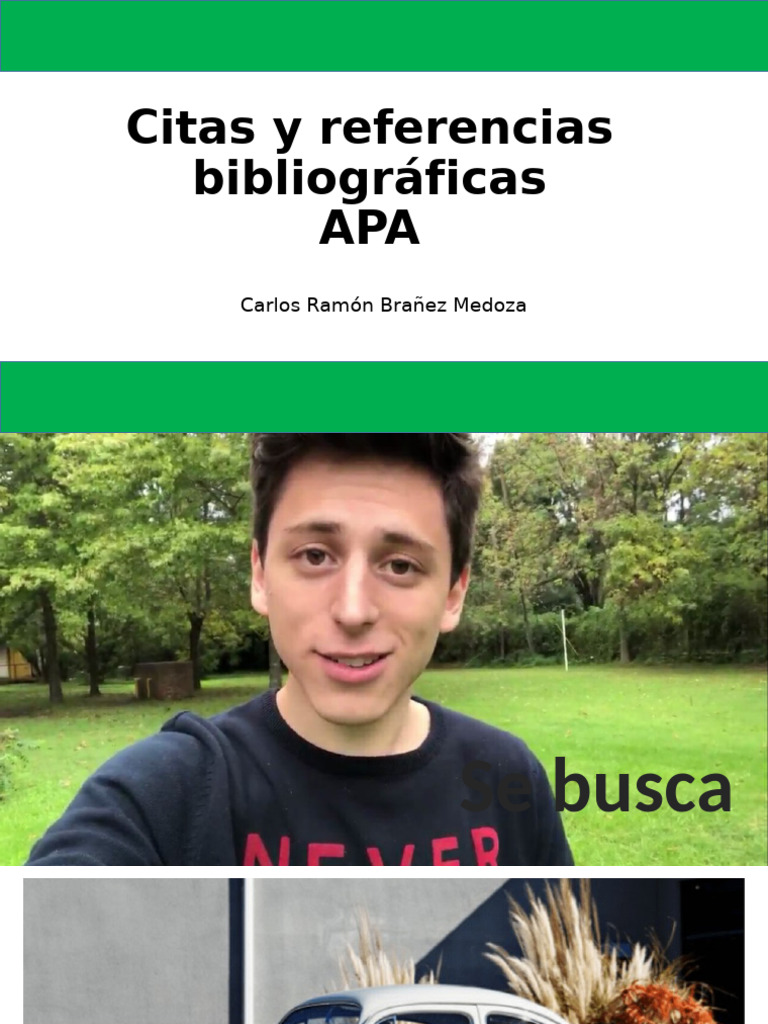 Referencias y Citas Apa | PDF