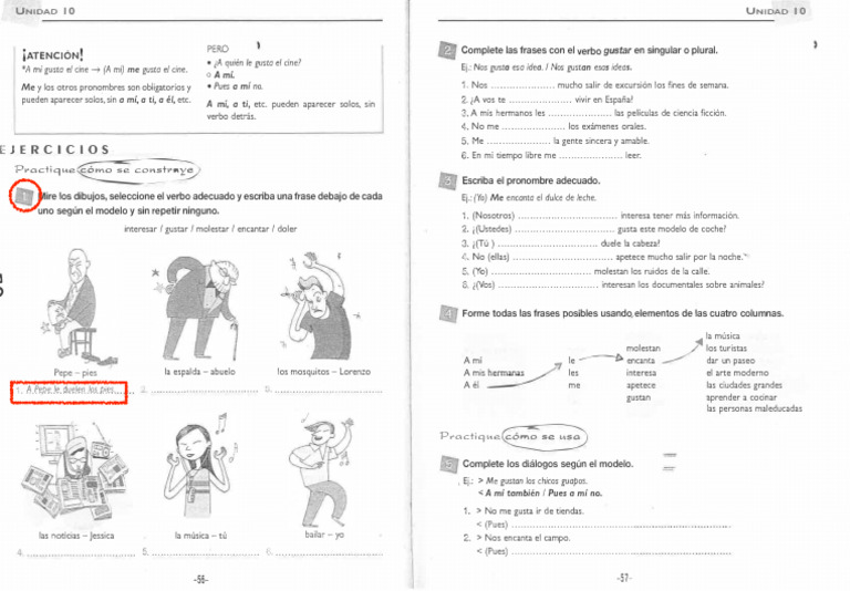 Verbos Tipo Gustar (ANAYA) | PDF
