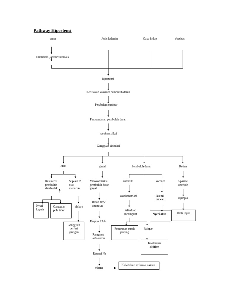 Pathway Hipertensi | PDF