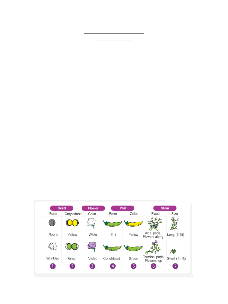 Introduction to Genetics | PDF | Dominance (Genetics) | Allele