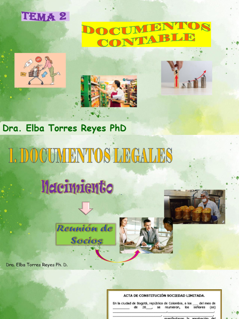 Documento Contables | PDF