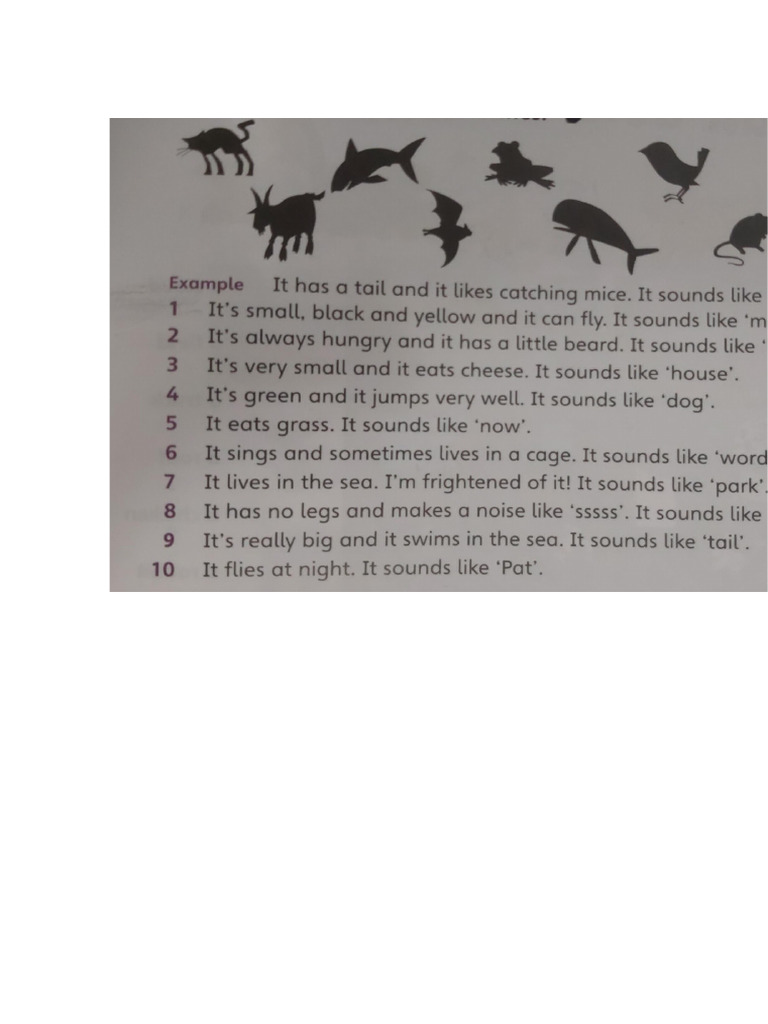 Activities Kids 4 Pdf