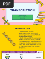 Transcription With Diagrams | PDF | Rna | Dna