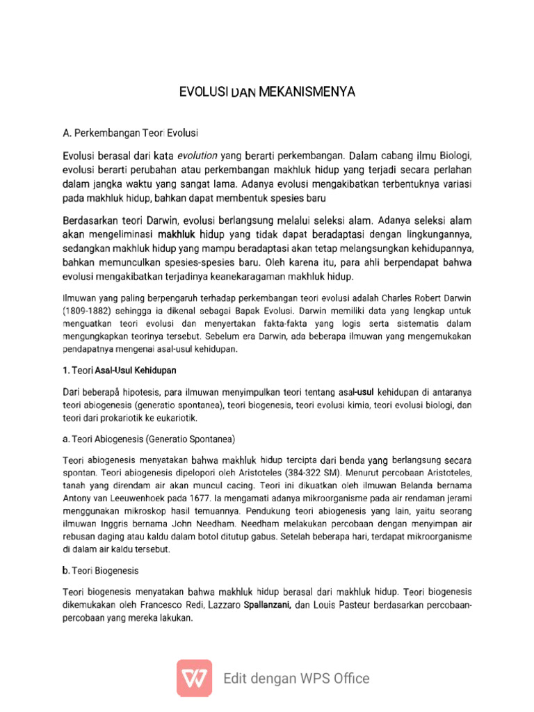 Evolusi Dan Mek-Wps Office | PDF
