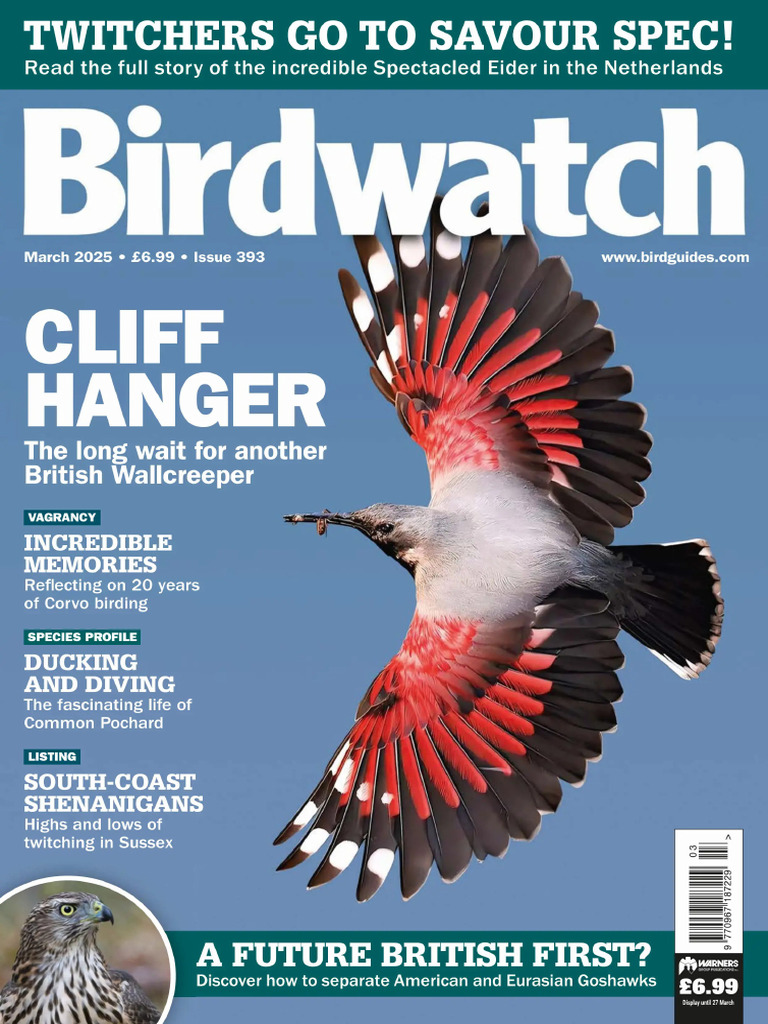 Birdwatch UK - March 2025 | PDF