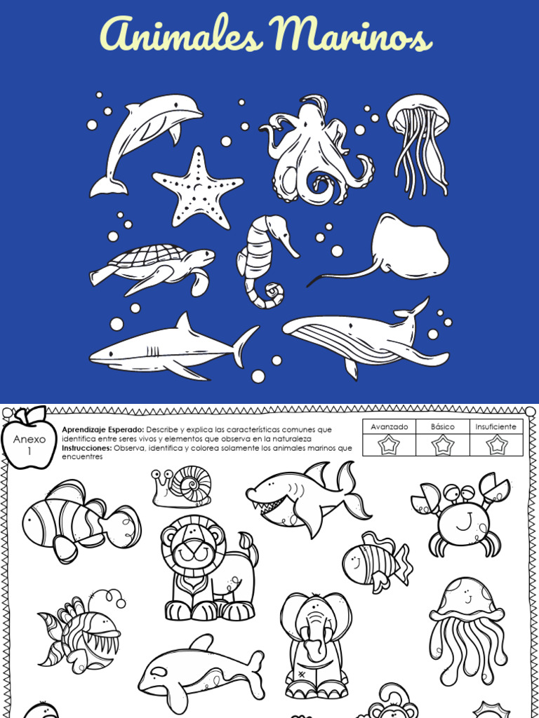 Actividades y Moldes de Animales Marinos | PDF