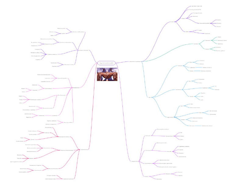 Mind Map | PDF