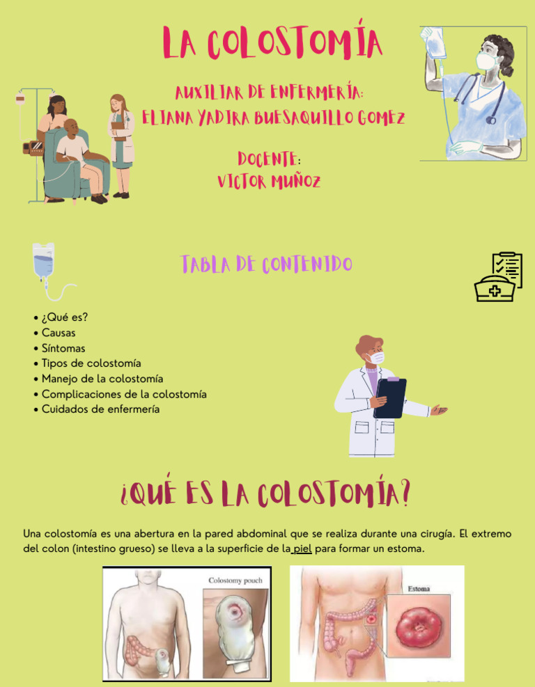 Guía Completa sobre Colostomía | PDF | Intestino grueso | Tracto ...