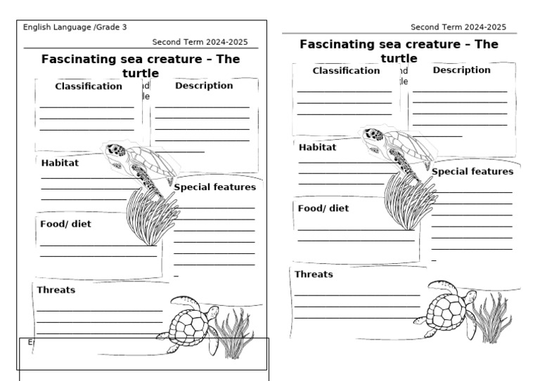 Sea Turtles: Grade 3 English Guide | PDF | Reptile | Herpetology