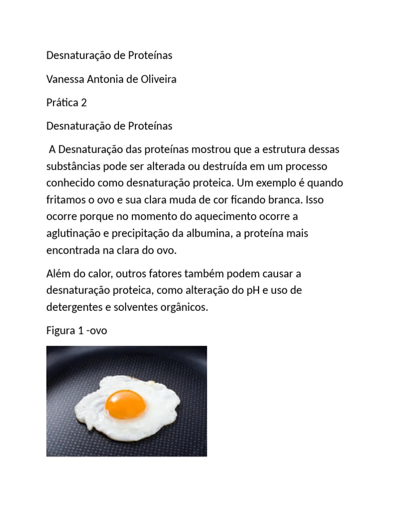 Desnaturação da Albumina do Ovo | PDF