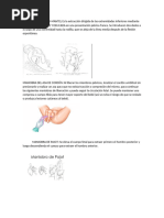 Tipos de himen y sus características | PDF
