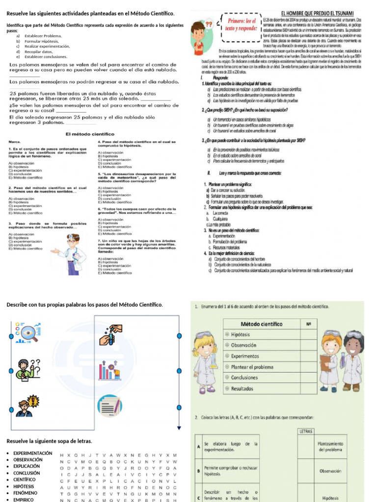 Actividades Del Método Científico 2025 | PDF