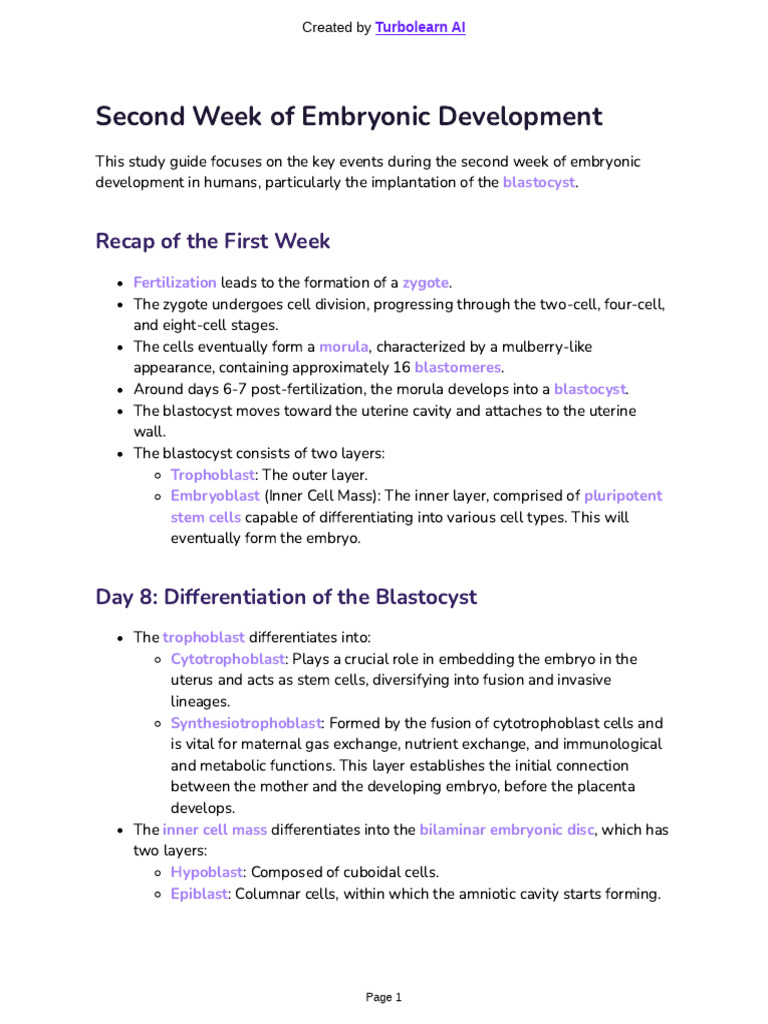 Second Week of Embryonic Development | PDF | Developmental Biology ...