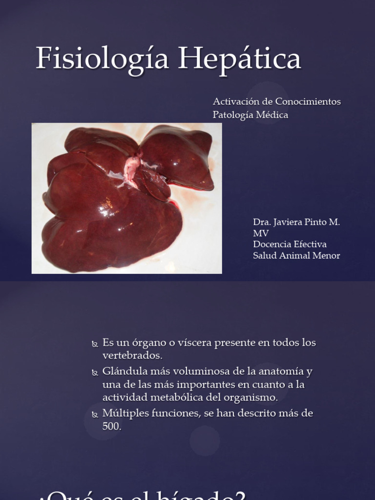 Fisiología Hepática | PDF | Hígado | Bilis