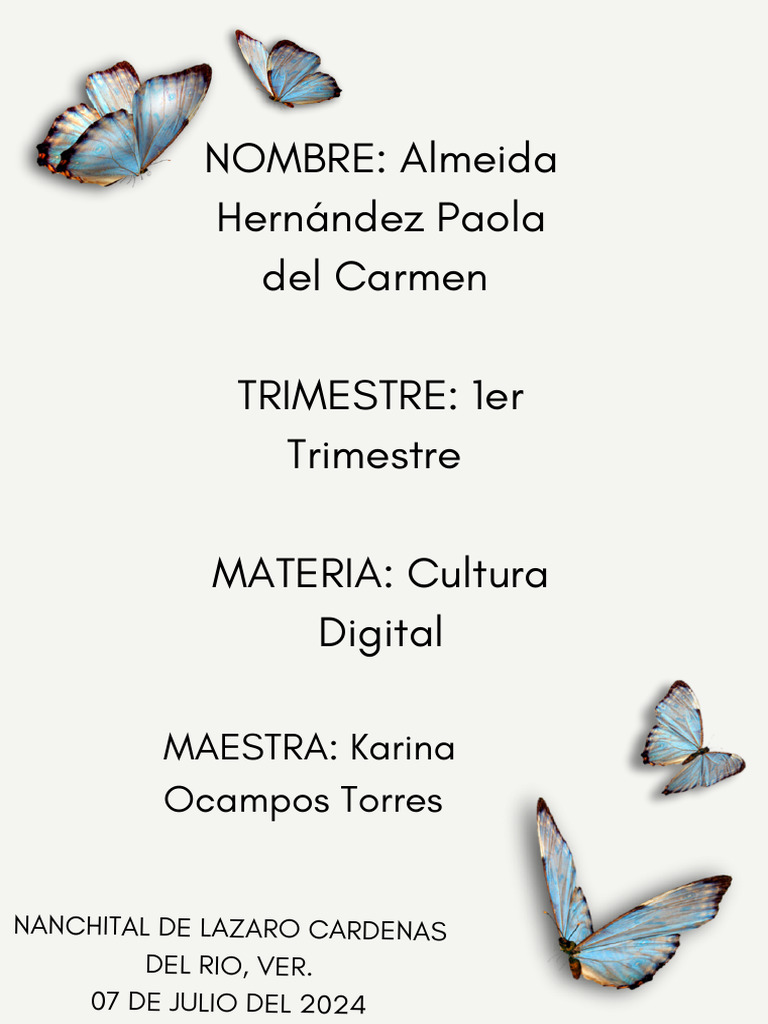 Documento Paola Del Carmen Almeida PDF | PDF | Derechos digitales