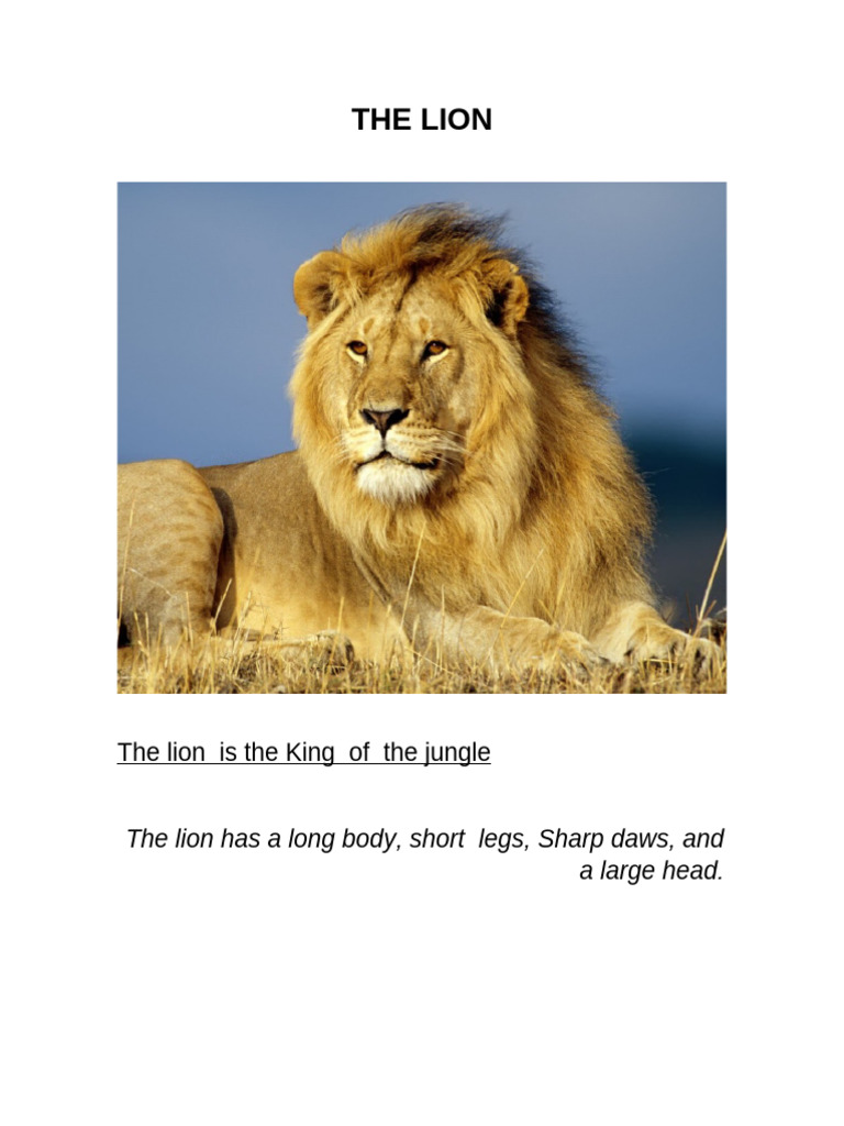 MATIAS RAMIREZ 2A THE LION | PDF