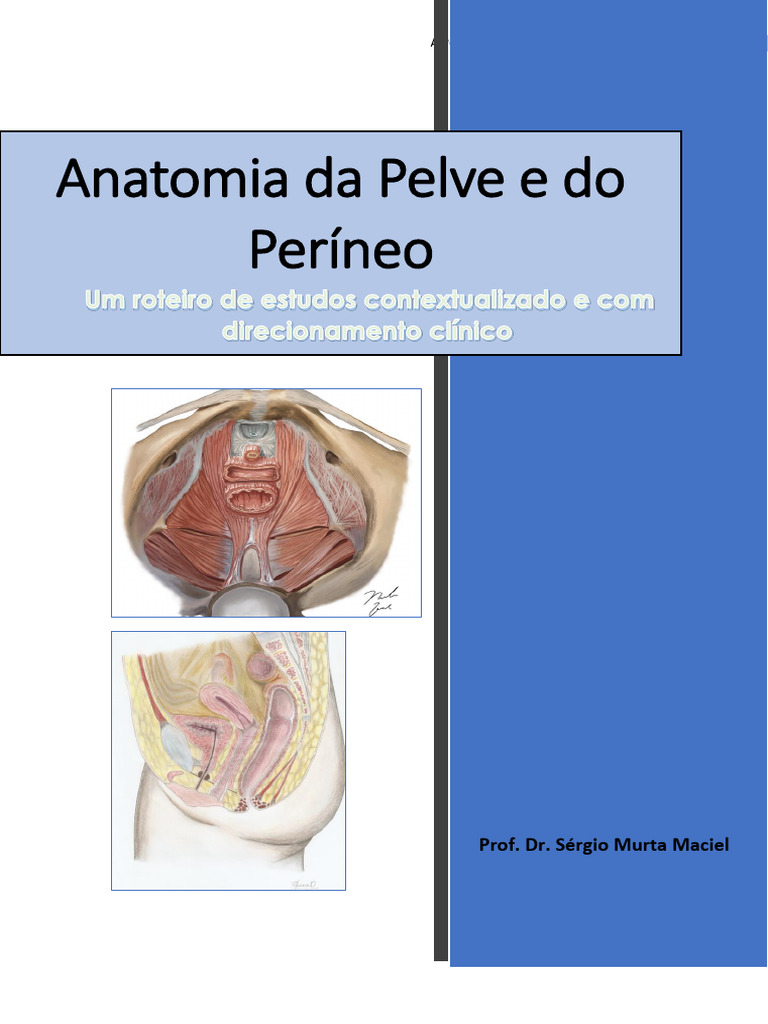 2.1.1.8-Livro-Anatomia-da-Pelve-e-do-períneo-um-roteio-de-estudos-contextualizado-e-com ...
