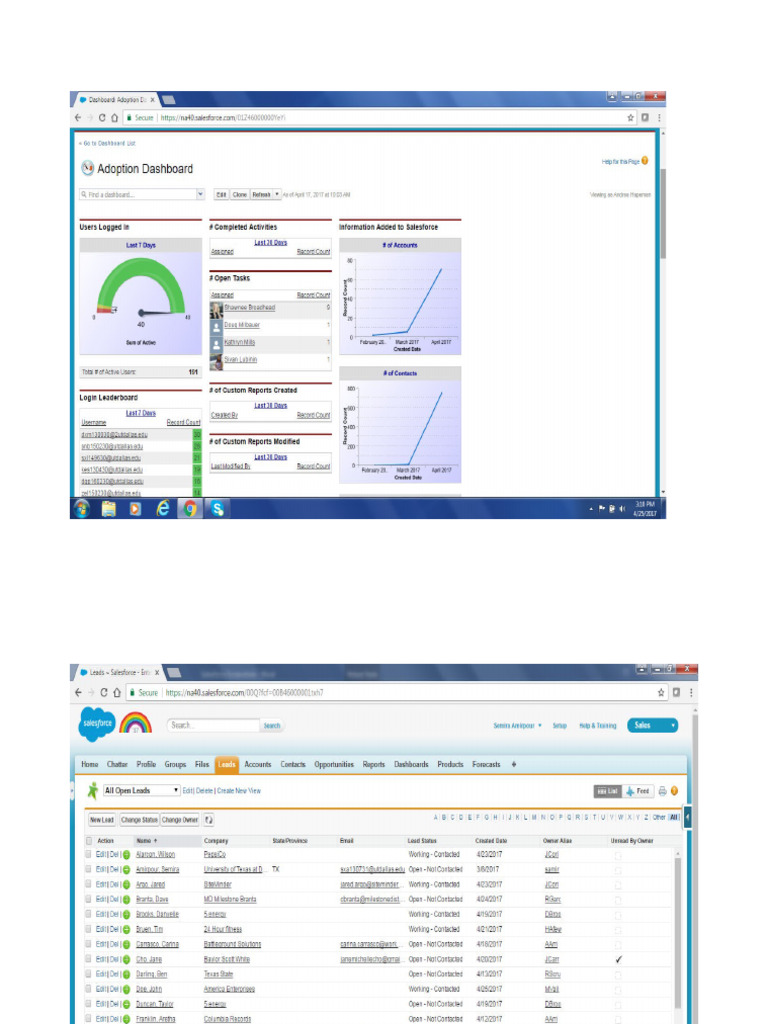 Salesforce Screenshots | PDF