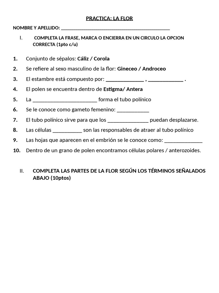 PRACTICA La Flor | PDF