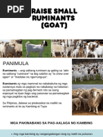 Pagbababuyan | PDF