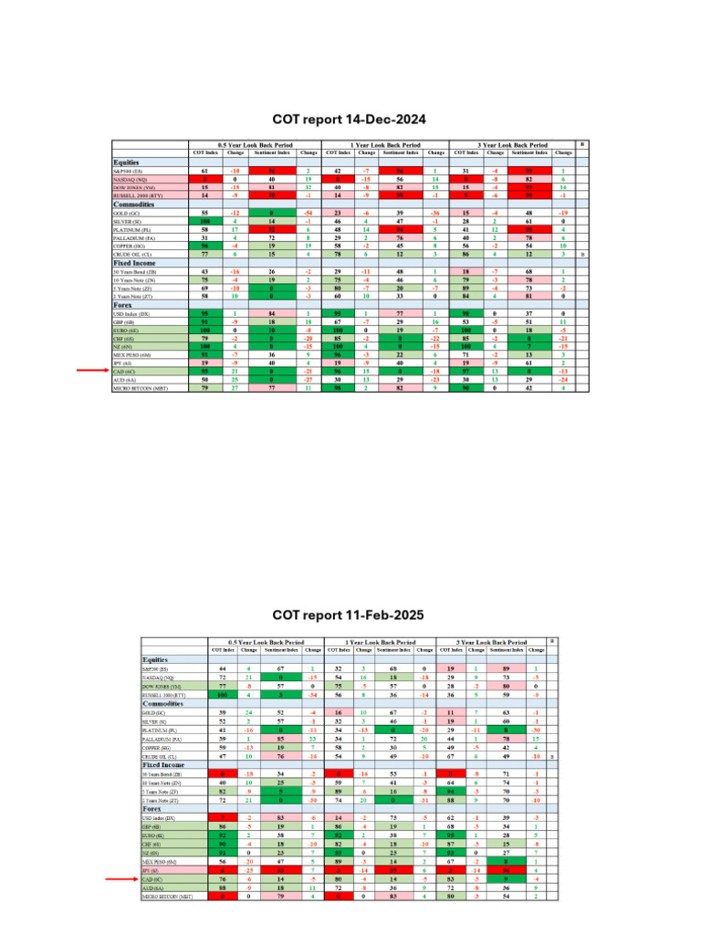 COT Reports: Dec 2024 & Feb 2025 | PDF