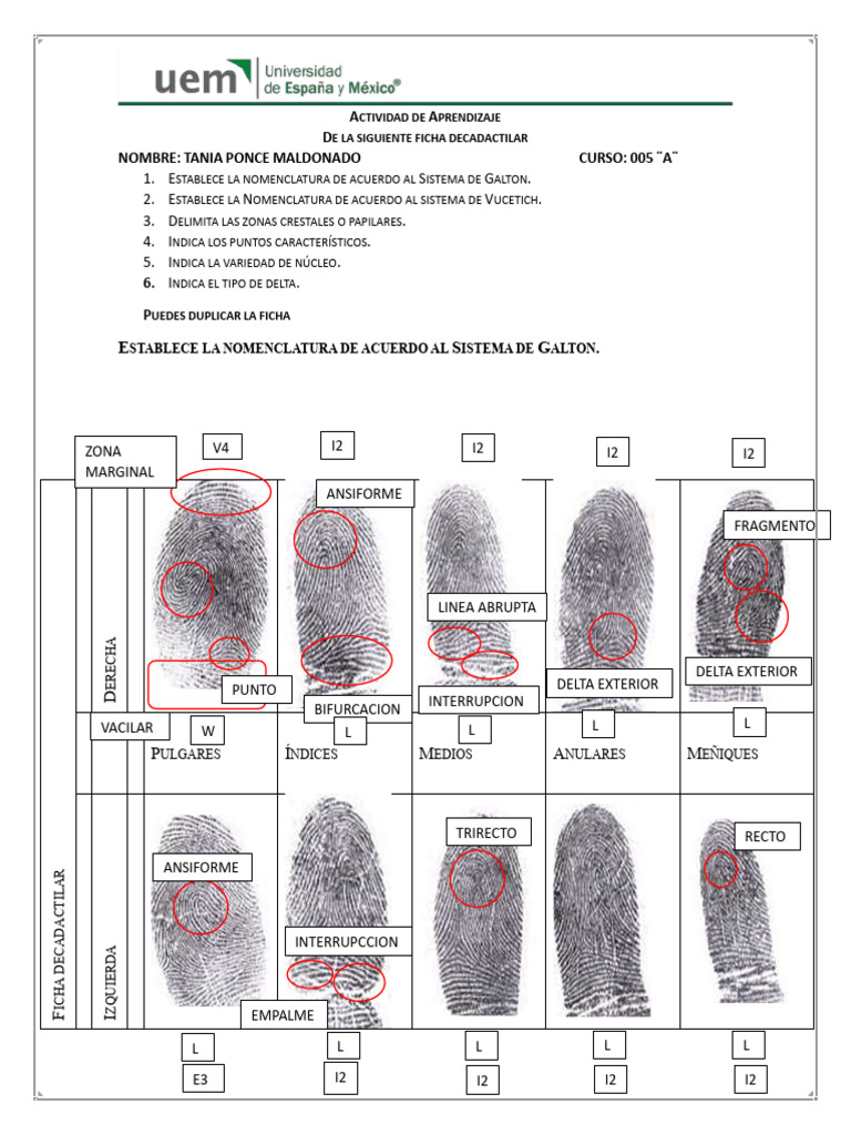 Actividad de Aprendizaje Dactilograma TANIA PONCE M ...