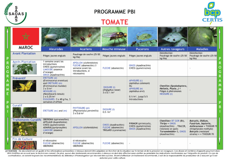 732 Programme Tomato Morocco | PDF