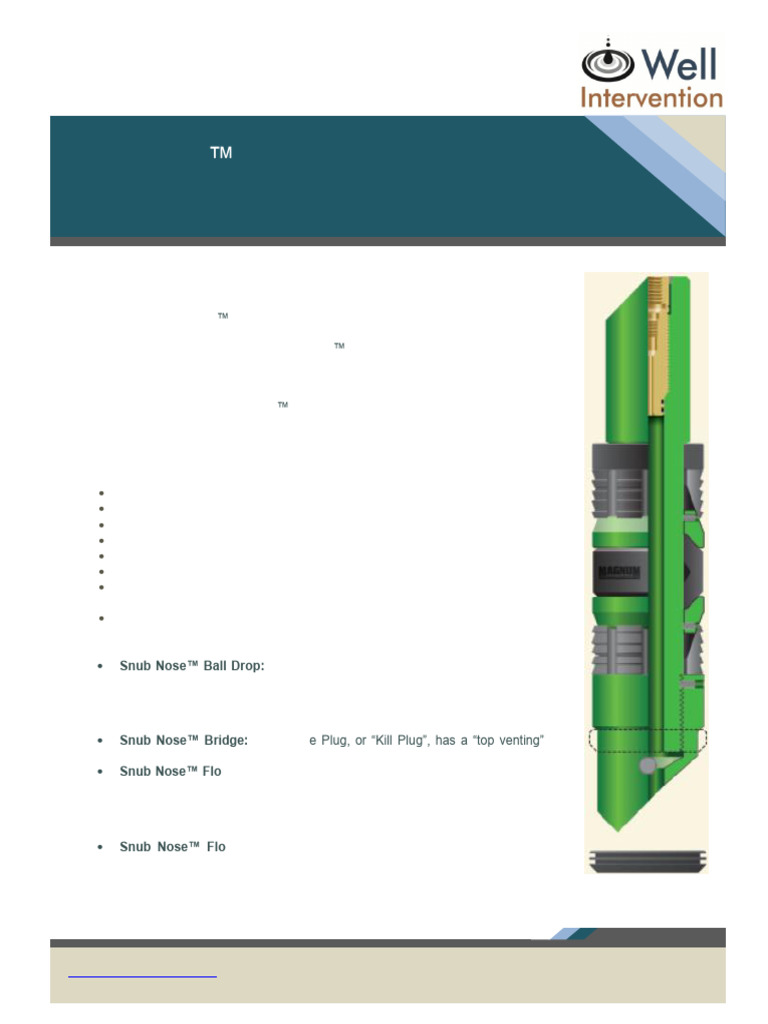 Magnum Snub Nose - Composite Bridge Plug | PDF | Valve | Mechanical ...