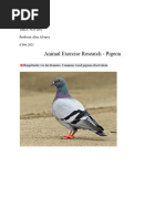 Fat pigeons | PDF