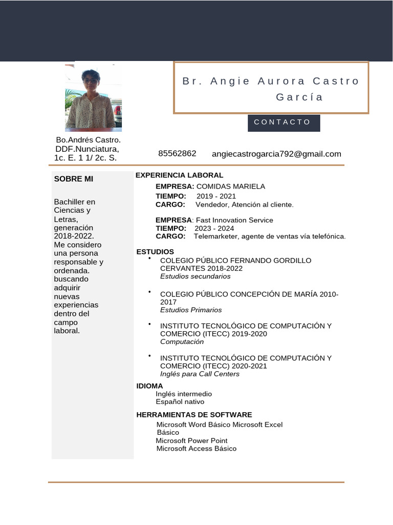CV Angie Castro 111 | PDF