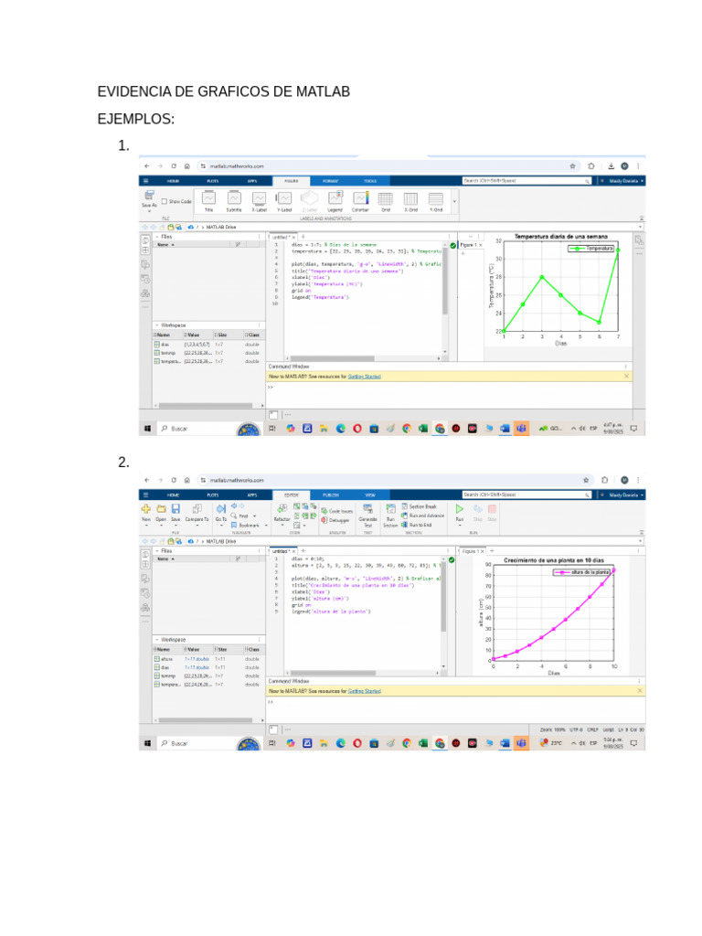 Evidencia de Graficos de Matlab | PDF