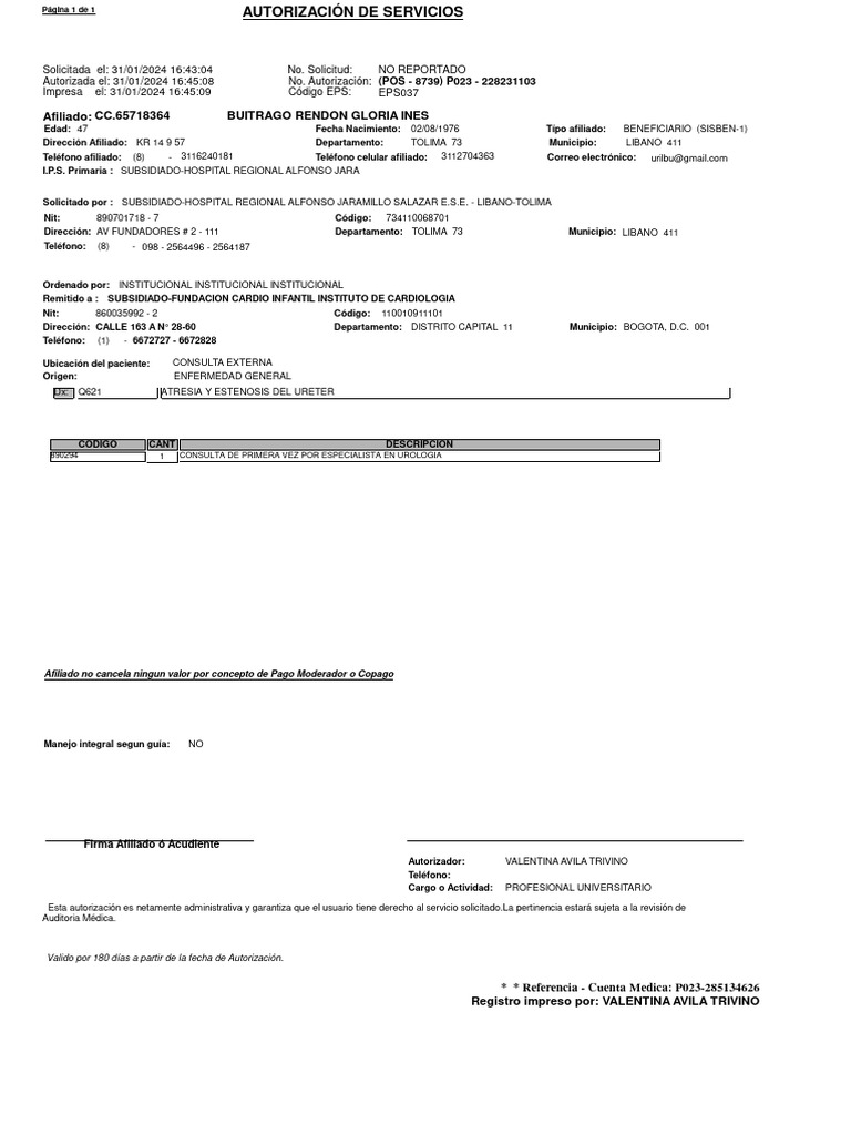 [037] (POS)P023-285134626 | PDF