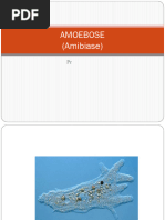 Amibiase Ou Amoebose | PDF | Maladies et troubles | Épidémiologie