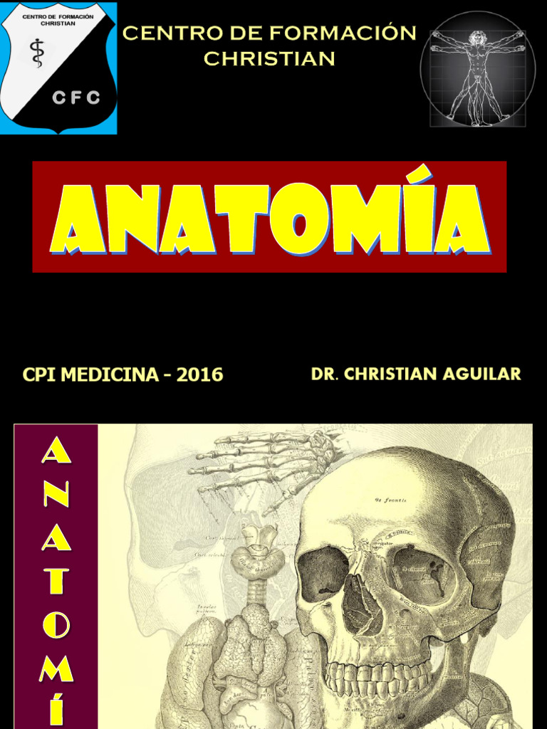 A35 - CFC 2016 - Linfáticos | PDF | Aorta | Tórax (anatomía humana)
