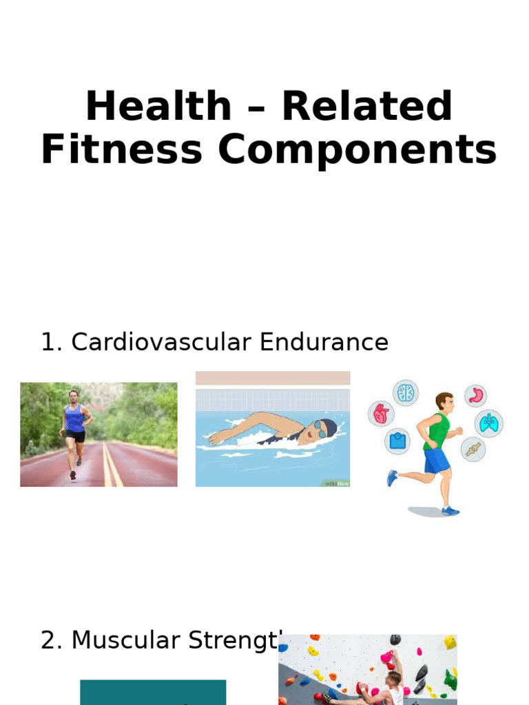 Health - Related Fitness Components | PDF