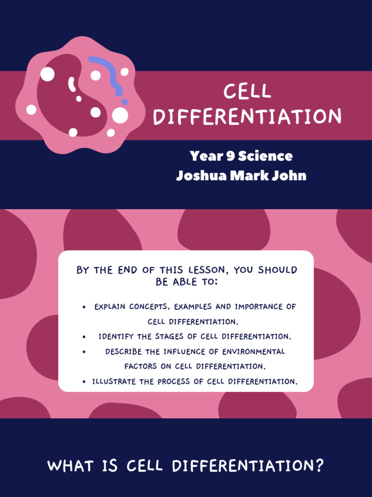 L6 Cell Differentiation | PDF | Cellular Differentiation | Cell Signaling