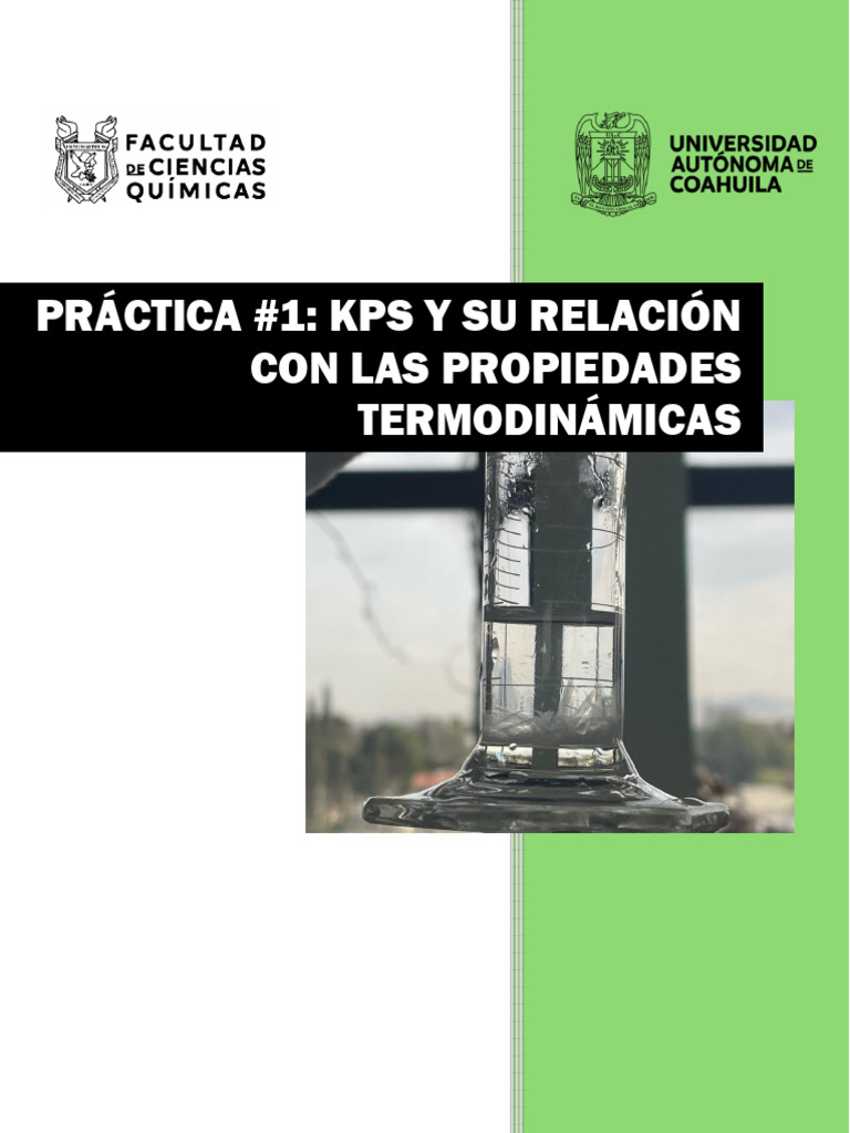 PRACTICA 1 FQ2 | PDF | Solubilidad | Concentración