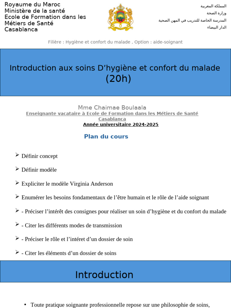 Introduction Aux Soins D'hygiène Et Du Confort Du Malade | PDF | Allaitement | Infection