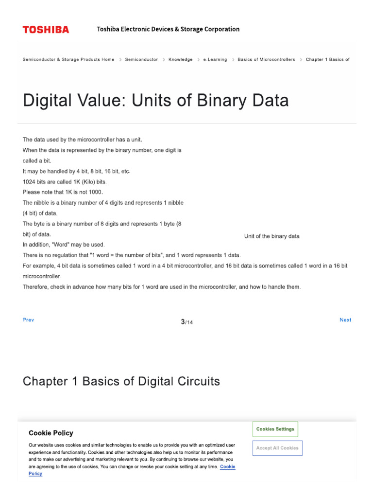 Digital Value Units of Binary Data | PDF