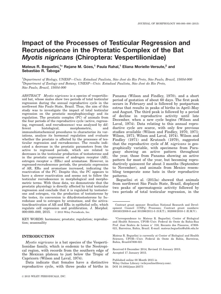 2015 - Beguelini - Impact of The Processes of Testicular Regression and ...