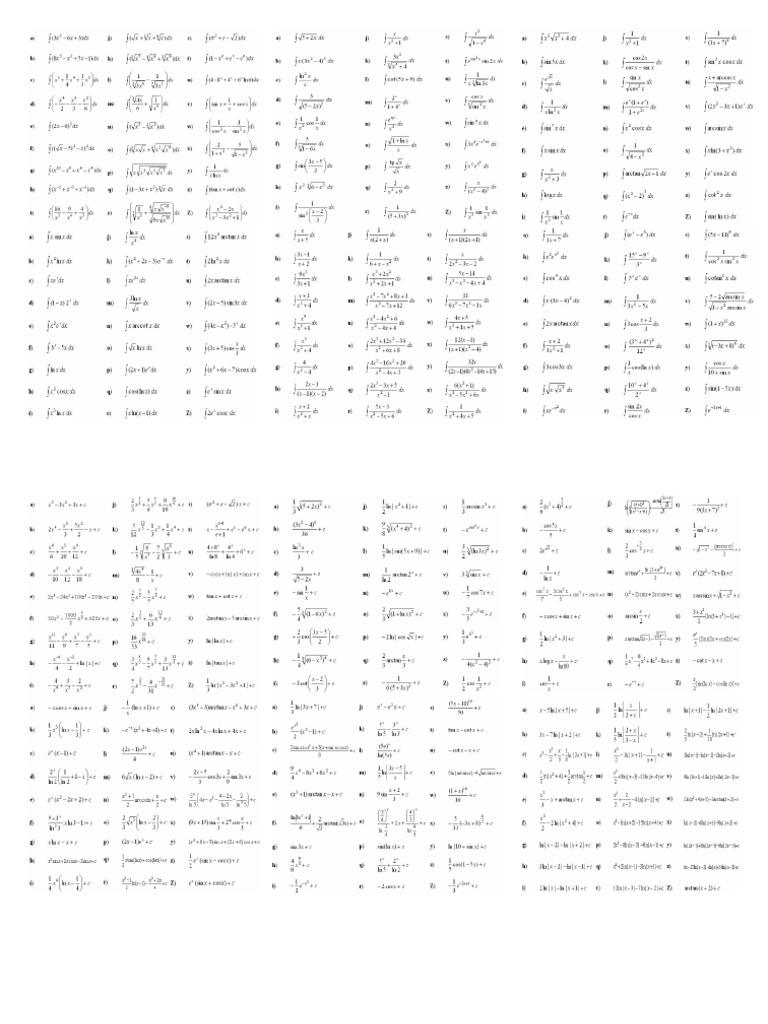 Worksheet Integ Cal | PDF