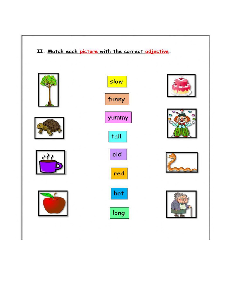 Adjective Exercise | PDF