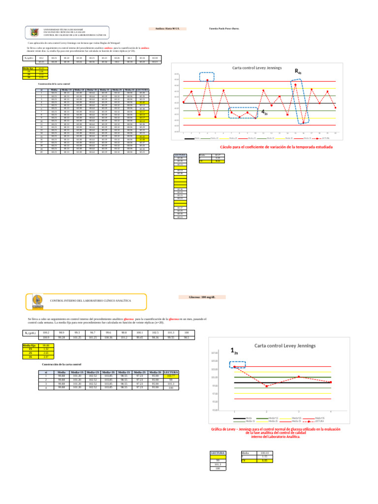 Carta Control Interno Lab | PDF