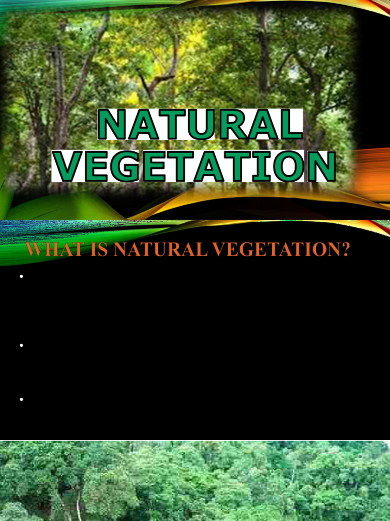 Natural Vegetation of India Explained | PDF | Forests | Agriculture