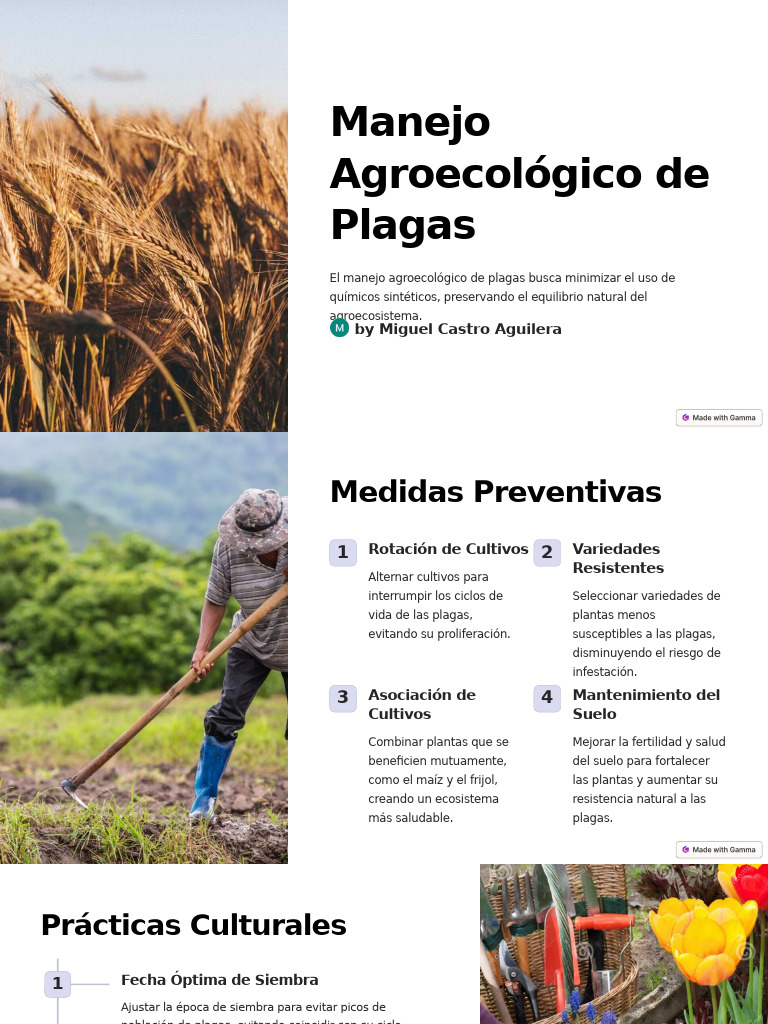 Manejo Agroecologico de Plagas 2 | PDF | Plaga (organismo) | Insecticida
