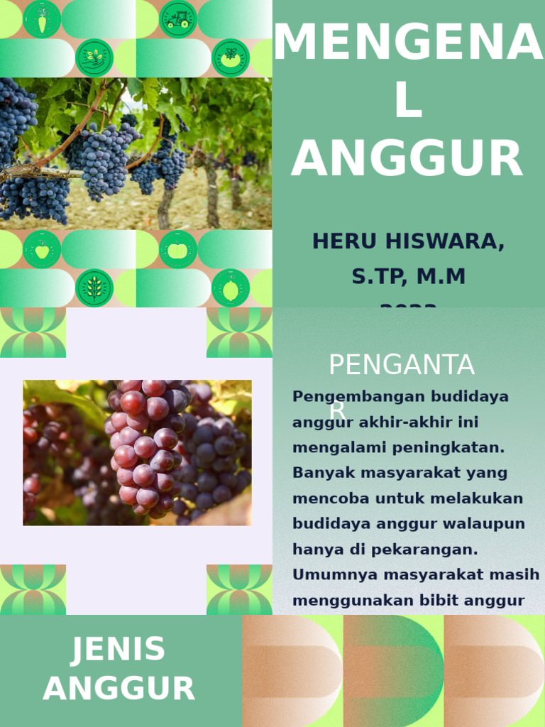 Panduan Budidaya Anggur di Indonesia | PDF | Microsoft Power Point